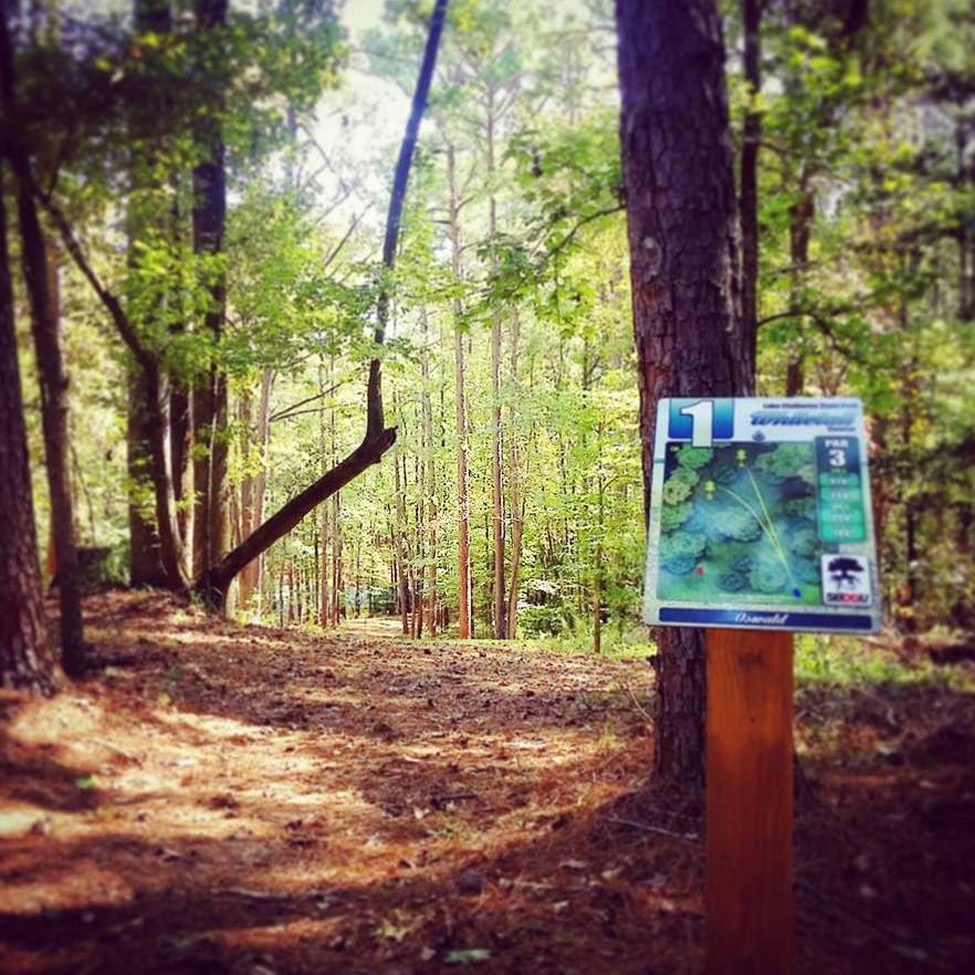 Disc Golf Tee Signs and Overviews | Course Maps and Rules Signs