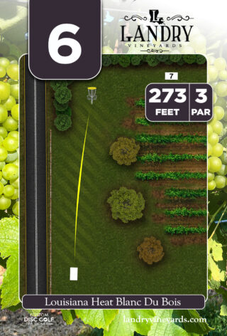 Custom Disc Golf Tee Signs | Course Maps